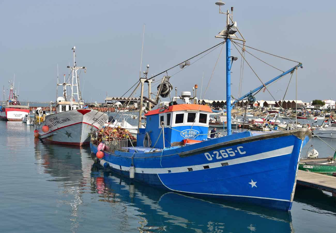 Ilha da Culatra, Algarve – A guide to Culatra Island